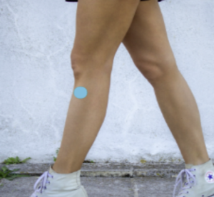Top 5 Acupressure Points for Constipation Relief